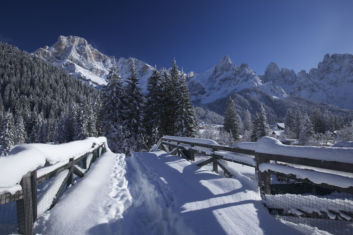 Marco Simonini - Maestro Artigiano